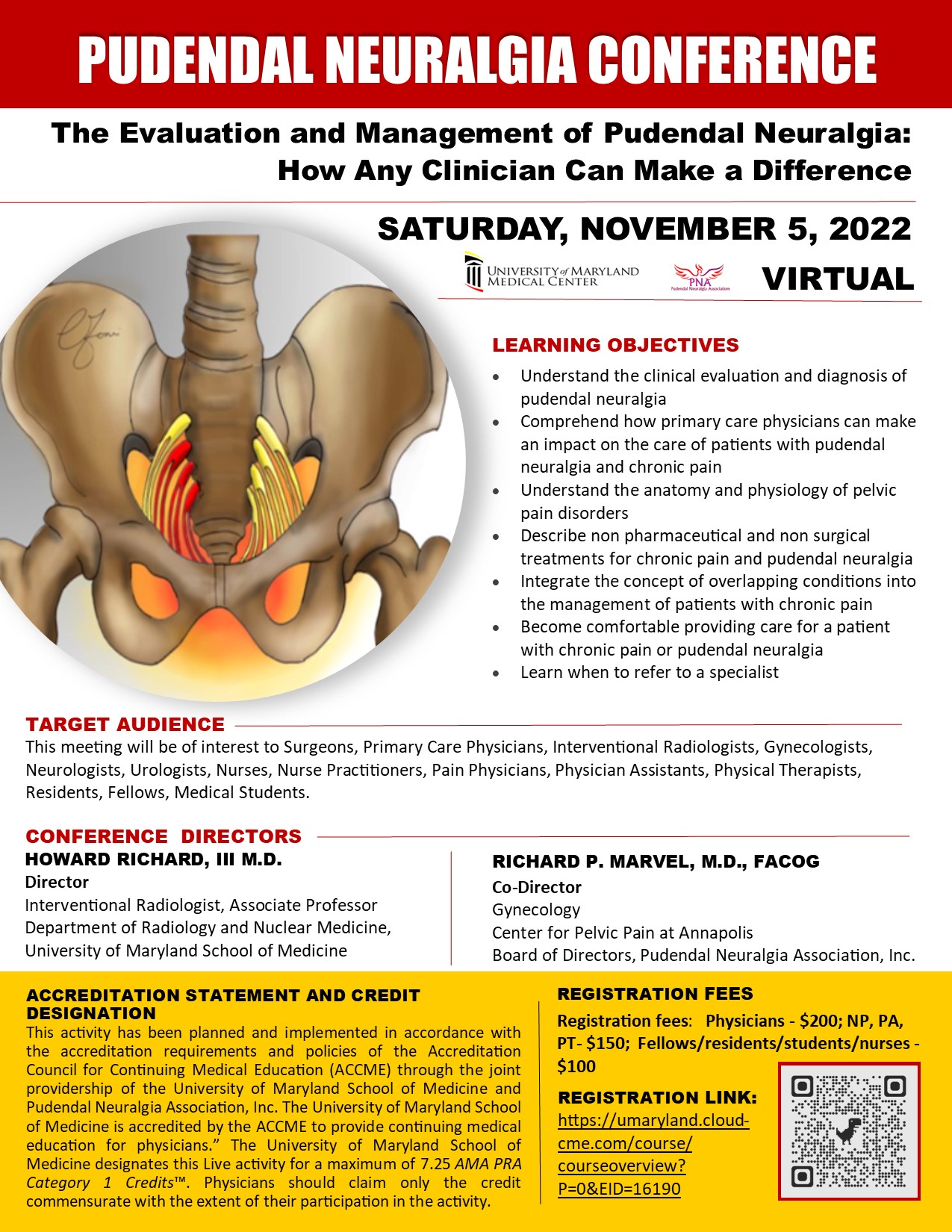 pudendalnerve.com.au